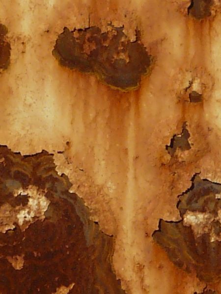 rusted chipping metal texture 0069 - Texturelib